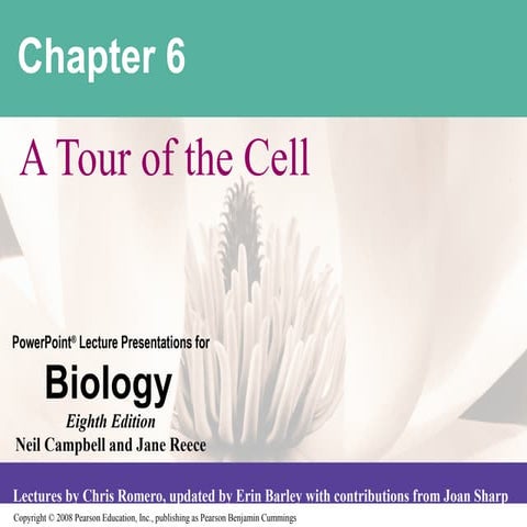 Chapter 6 | PPT