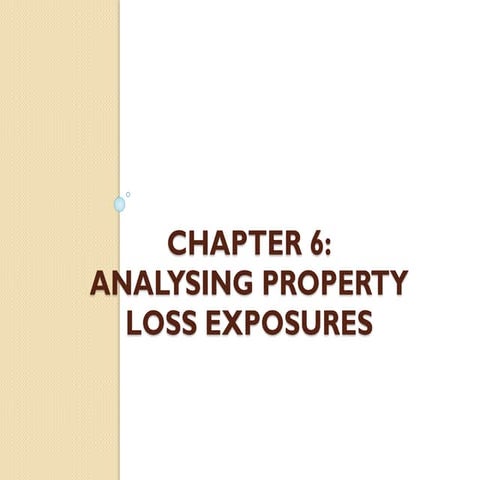 Chapter 6- Risk Management | PPTX