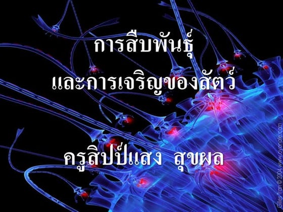 เทคนิคการกด Enter แล้วไม่ขึ้นบรรทัดใหม่ ด้วยctrl ค้าง + enter | PDF