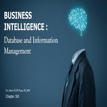 Chapter 6. busines intelligence database and information management | PDF