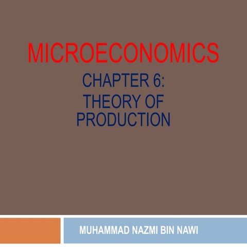 Microeconomics - Theory of Production.pptx