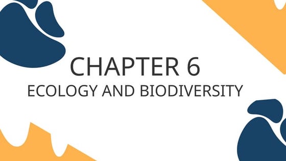 6th Grade Chapter 6 | PPT