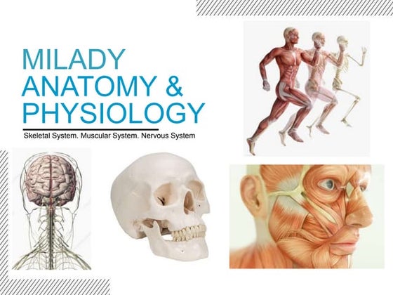 Milady skin diseases & disorders | PPT