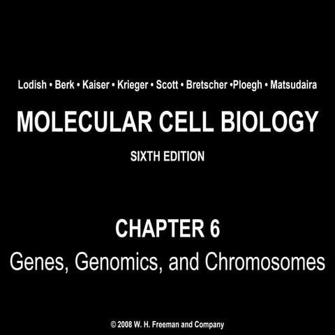 Molecular Cell Biology Lodish 6th.ppt - Chapter 6 genes, genomics, and ...