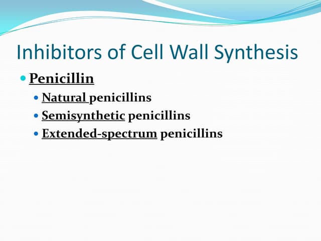 2.ANTIBIOTIC (CELL WALL INHIBITORS) | PPT