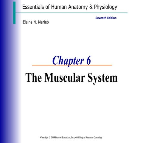 Chapter 6 - Muscular system_084918_013832.pptx | Biological Sciences ...