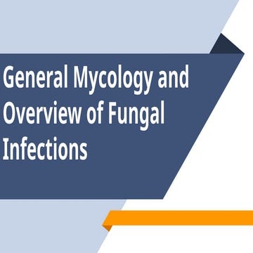 chapter 6 - Overview of Fungal Infections.pptx