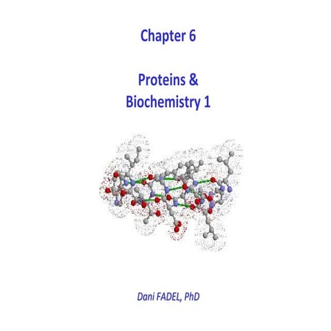 Chapter 6 - Proteins Biochemistry -1- (1) (1).pptx