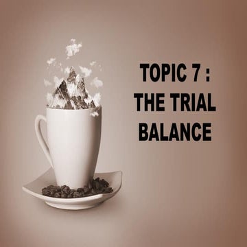 CHAPTER 6 - THE TRIAL BALANCE OF ACCOUNTING | PDF