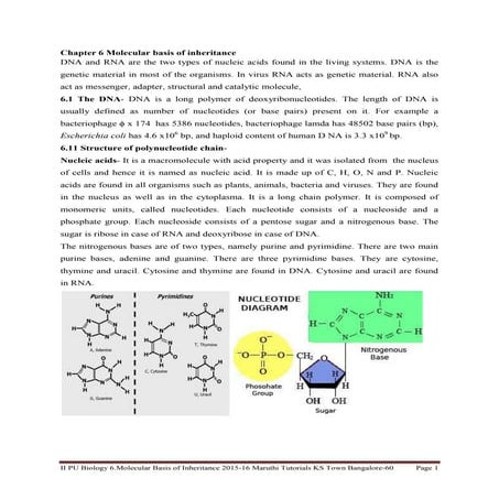 Chapter 6 biology 20 12-15 | PDF
