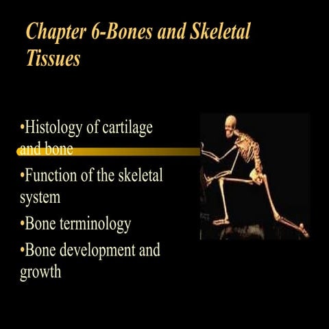 Chapter6 bonesmarieb | PPT | Death, Injury, or Military Conflict ...