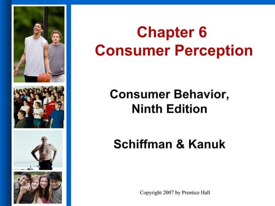 Individual behavior and perception | PPT