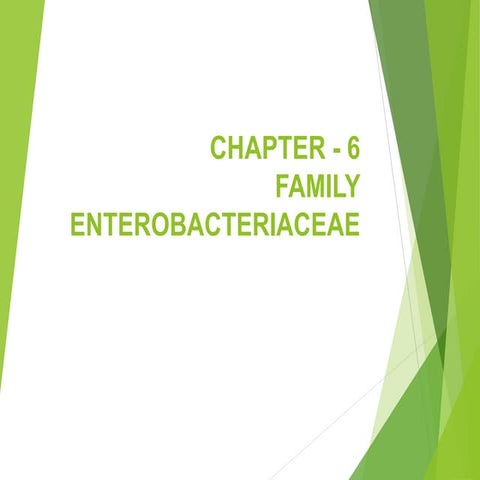 Enterobacteriaceae | PPT