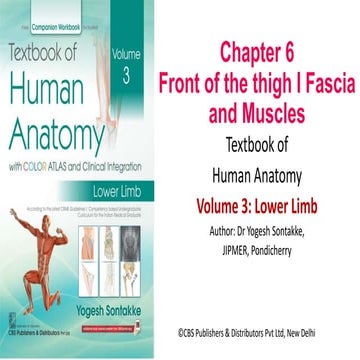 Chapter 6 Front of the thigh I Fascia and Muscles.pptx