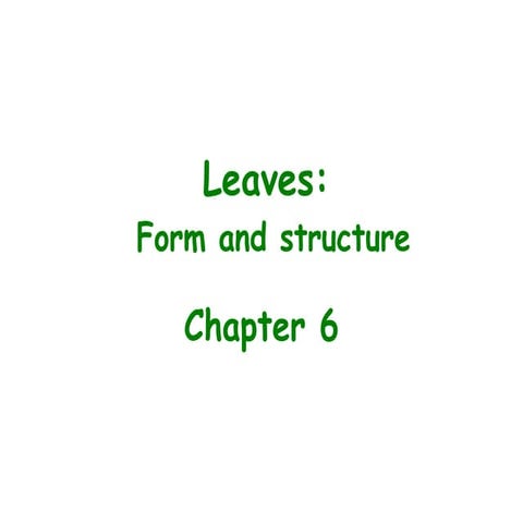 Chapter 6 Leaves.ppt | Gardening | Home & Garden