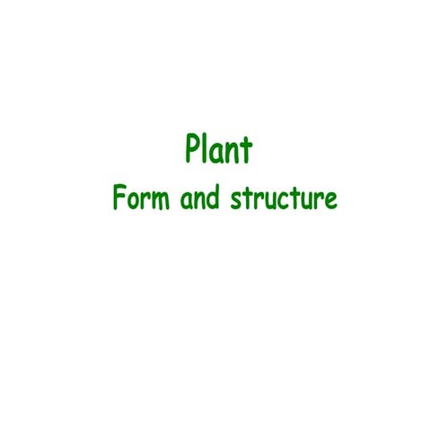 Anatomy of a dicot leaf | PPTX