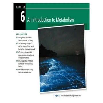 Biology Text Chapter 6 Lecture Slideshow | PDF | Chemistry | Science