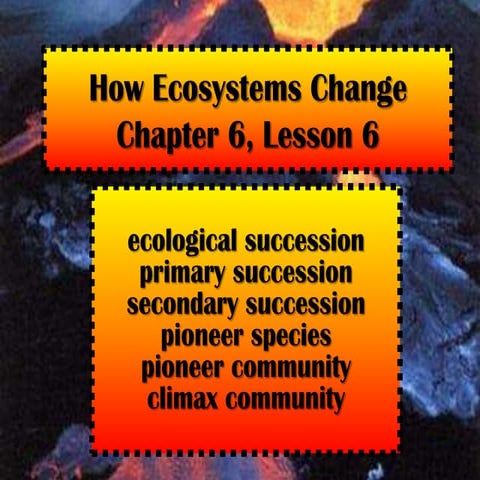 Chapter 6, lesson 6 | PPTX | Environment | Science