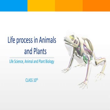 Chapter 6 Life process.pptx. Sharing the knowledge | PPTX