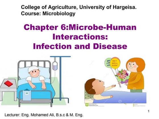 Microbiology: Human - Microbe Interactions | PPT