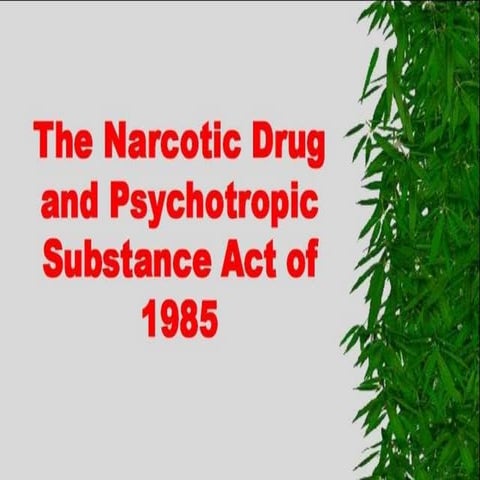 CHAPTER 6 NDPS ACTS AND RULES.pptx