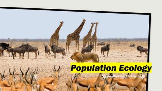 Population dynamics presentation | PPTX