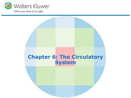 Chapter 4 powerpoint | PPT