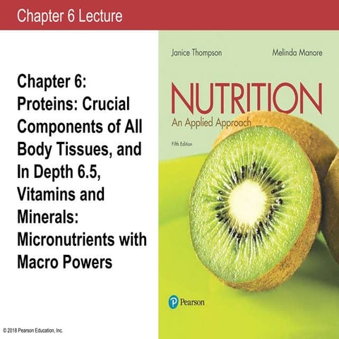 Comprehensive Overview of Proteins: Structure, Function, and Health ...