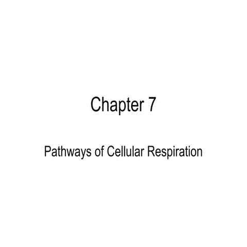 Bio 100 Chapter 7 | PPT | Lung and Respiratory Health | Diseases and ...