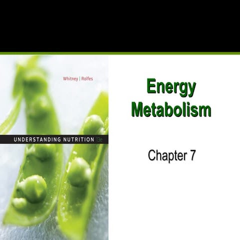 Chapter7 | PPT | Endocrine and Metabolic Diseases | Diseases and Conditions