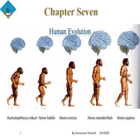 Human Evolution | PDF