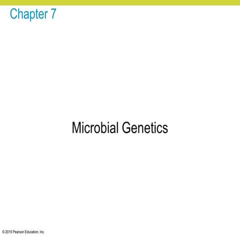 Chapter 7.pdf | Free Download