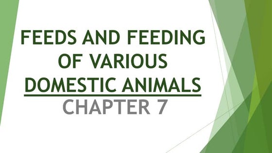 Broiler SBA.docx for agricultural science csec | PDF