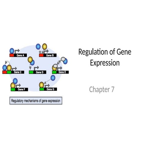 Regulation of Gene Expression | PPTX