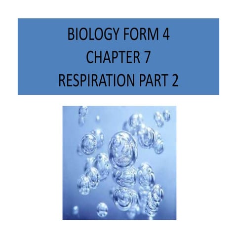 Circulatory system | PPT