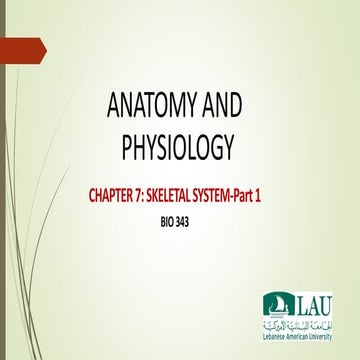 Chapter 7- Skeletal System-Part 1-SR.pptx