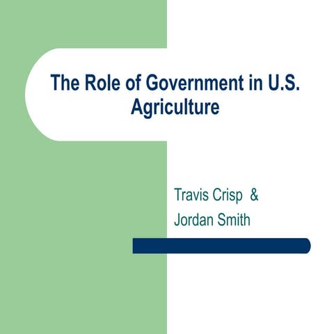 The Role of Government | PPT