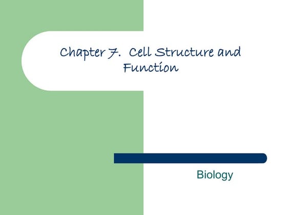Cell Structure & Function | Cambridge IGCSE Biology | PDF