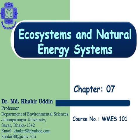 Chapter 7 ecosystem.ppt