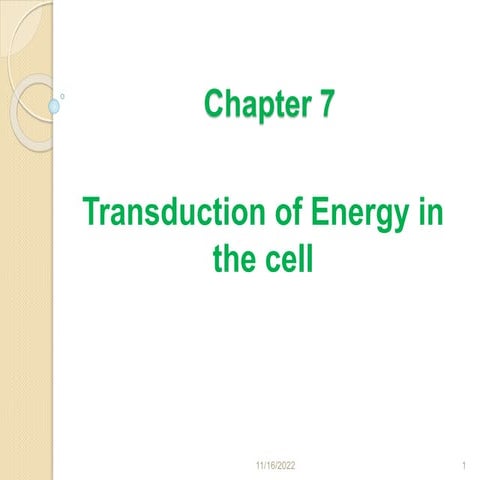 Chapter 7 Energy transduction in cells.pptx