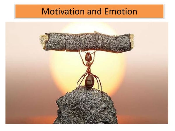 Psychology: Motivation And Emotion | PPT Psychology: Motivation And Emotion | PPT