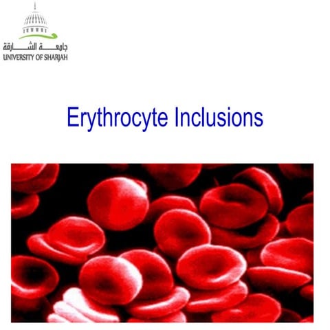 chapter 7 part II_Erythrocyte Inclusions.pptx