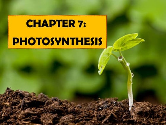 Photosynthesis | PPT