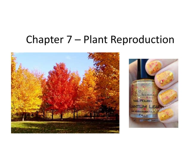 Reproduction in plants | PPTX