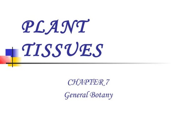 Plant Tissues for Grade 10 Life Sciences | PPTX | Skin and Dermatology ...