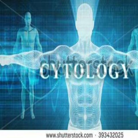 Chapter 7 The cell cycle.ppt