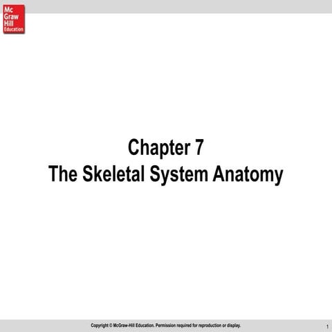 Chapter 7 The Skeleton .pptx to study more | PPT
