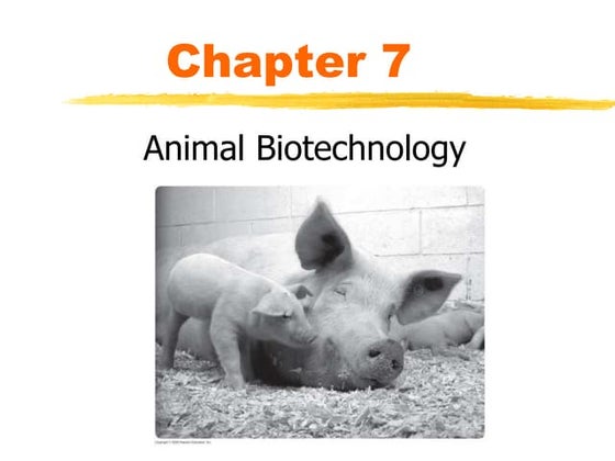 Transgenic goat and pig (A. Anbu Abubakkar Sidik).pptx