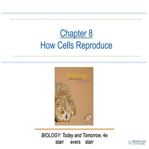 CCELL, Structure, Physiology and Biochemistry | PPT