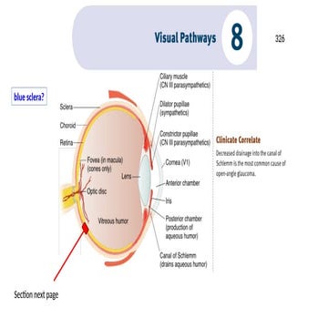 Visual Pathways: Ophthalmology textbook AK khurana comprehensive ...